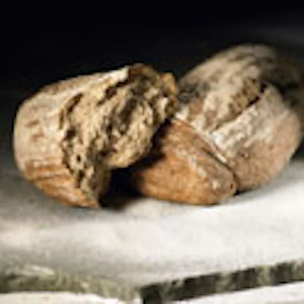 Oerbrood alleen biologisch