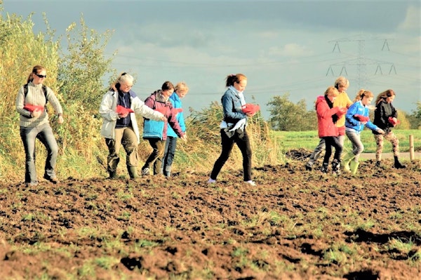 Consumenten zaaien winterrogge op akkers Odin-boerderij De Beersche Hoeve
