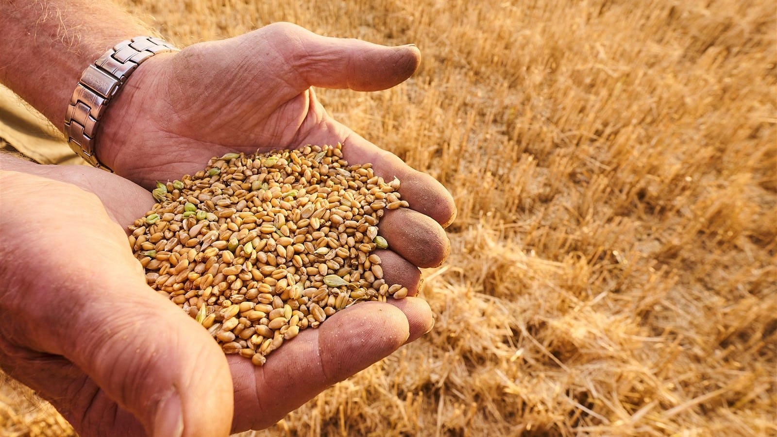 MaGie Creations upcyclet biergraan: 'Met de PowerBagel is de cirkel rond'