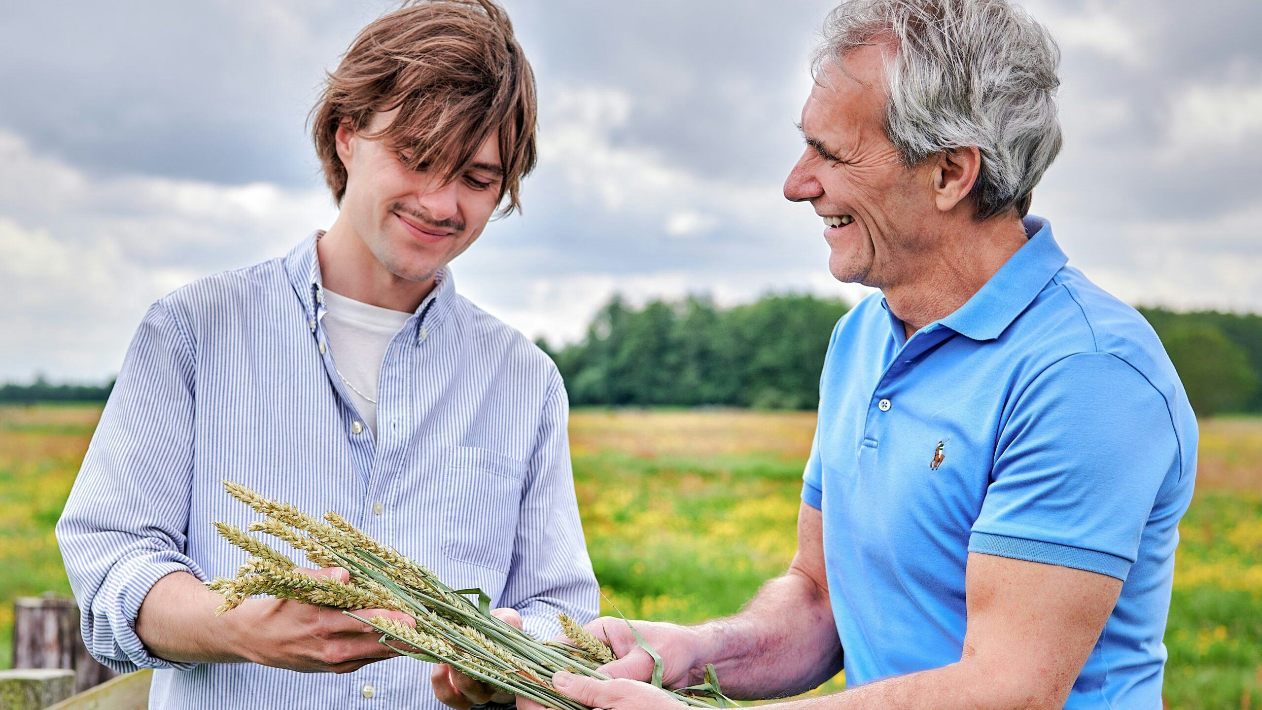 Productie Nedertarwe opgeschaald: steeds meer bakkers doen mee